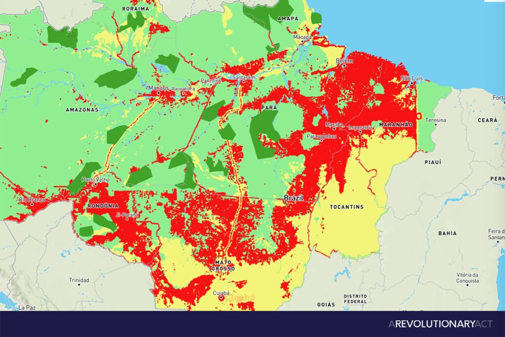 Share this Amazon deforestation map with a friend – 100 Days to Save ...