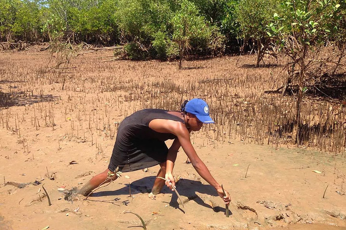 Buy an Ecologi tree planting subscription – 100 Days to Save the World